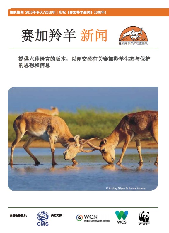 chinese | Saiga Conservation Alliance