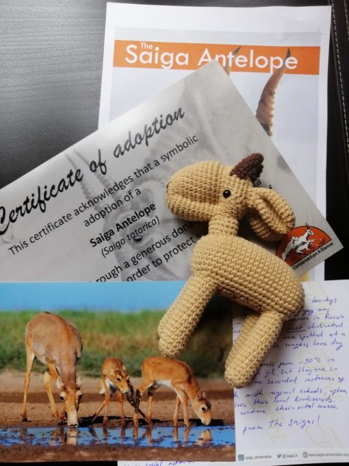 Saiga toy + Adopt a Saiga set | Saiga Conservation Alliance