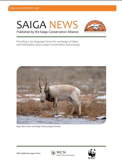 Saiga News 26 | Saiga Conservation Alliance
